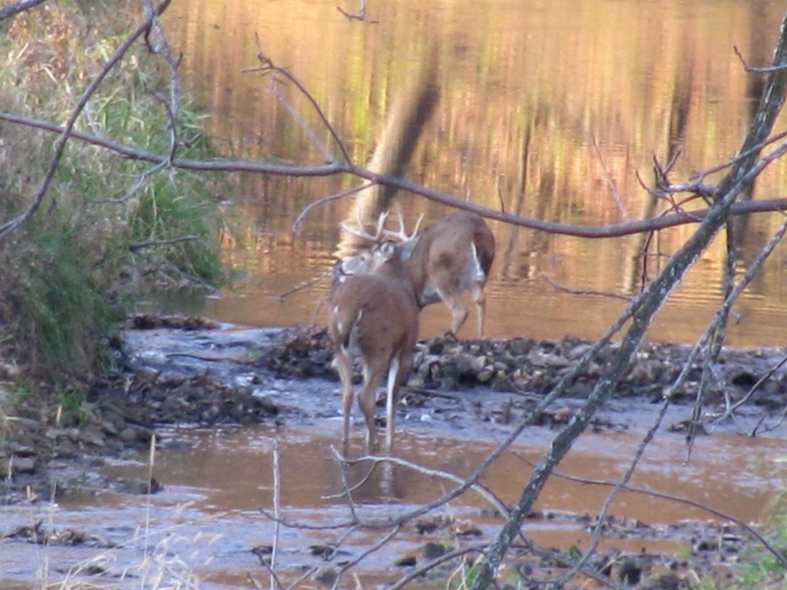 Locations Hub - Iowa Botanical & Wildlife Preserve