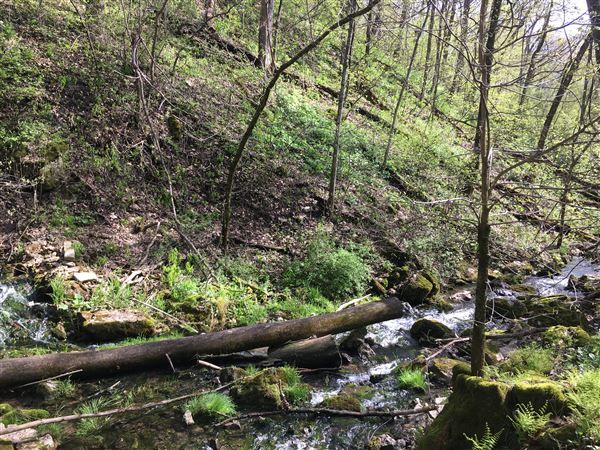 Locations Hub - Dutton's Cave Park