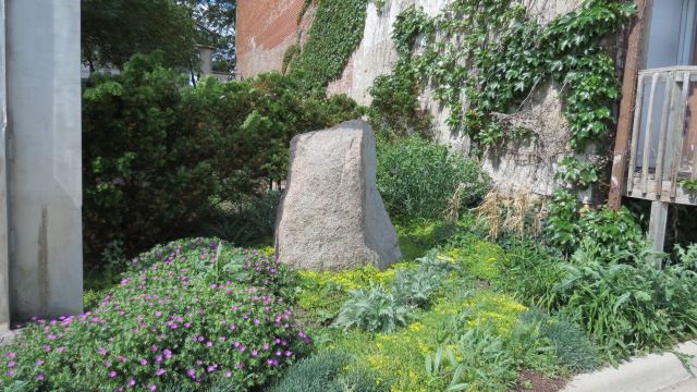 Locations Hub - Cynthia Duff Plaza