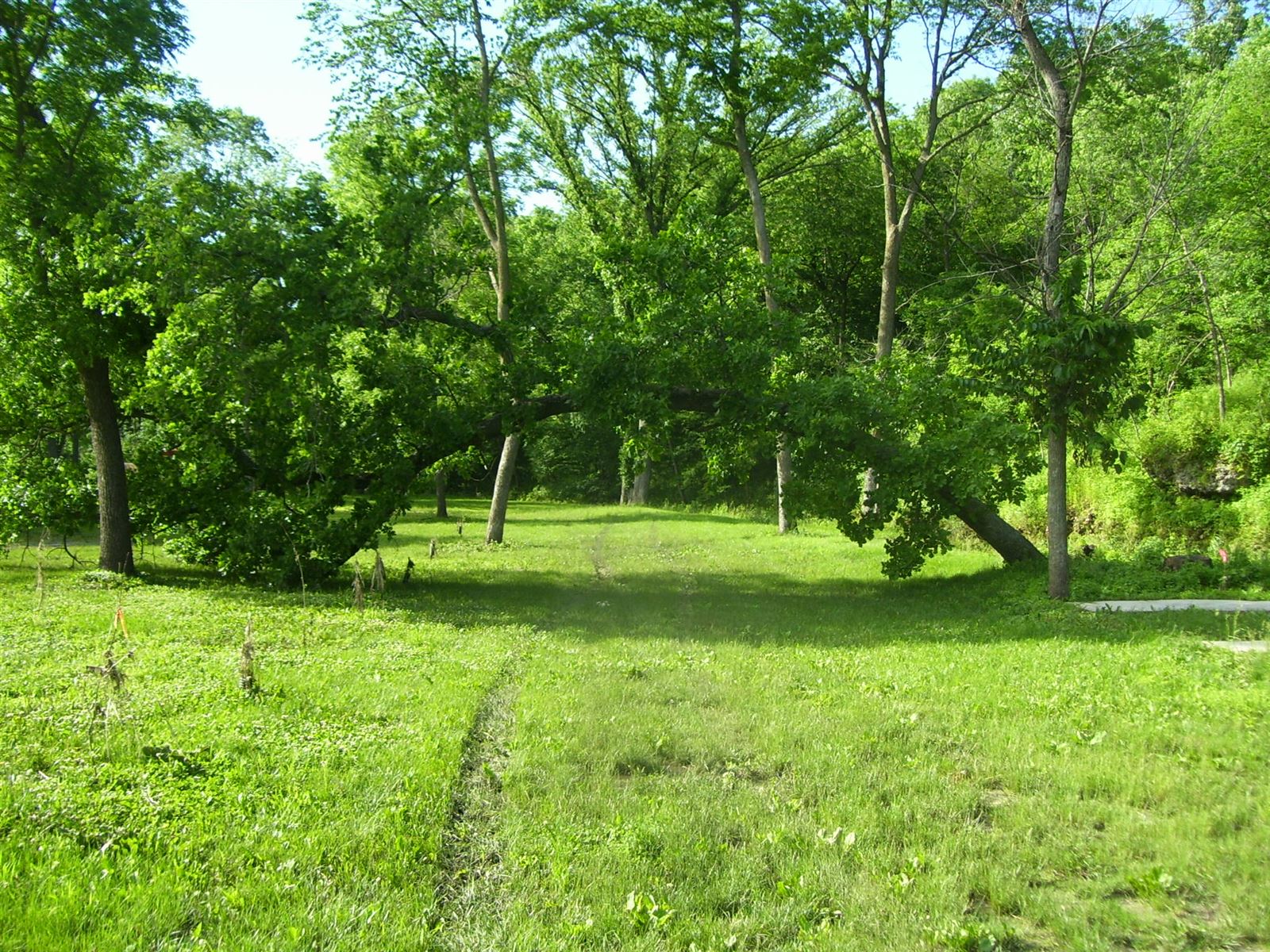 Locations Hub - Iowa Botanical & Wildlife Preserve