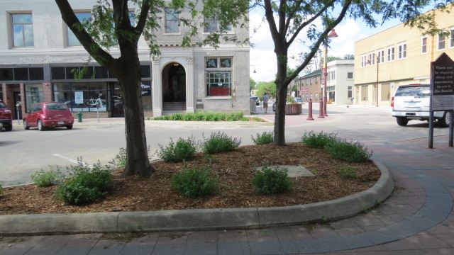 Locations Hub - Cynthia Duff Plaza